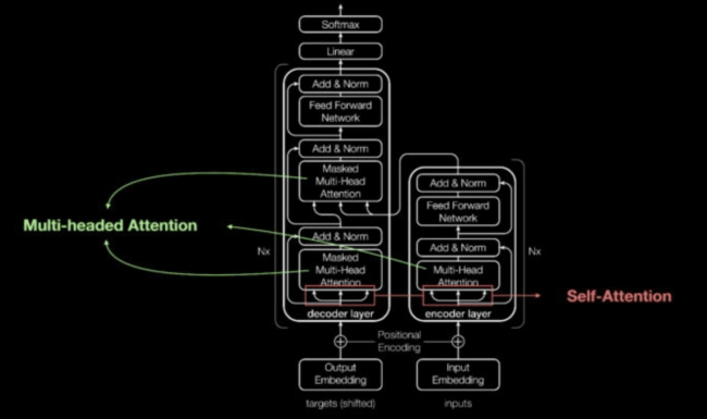 AI & Genomics: How Transformers and Large Language Models relate to ...